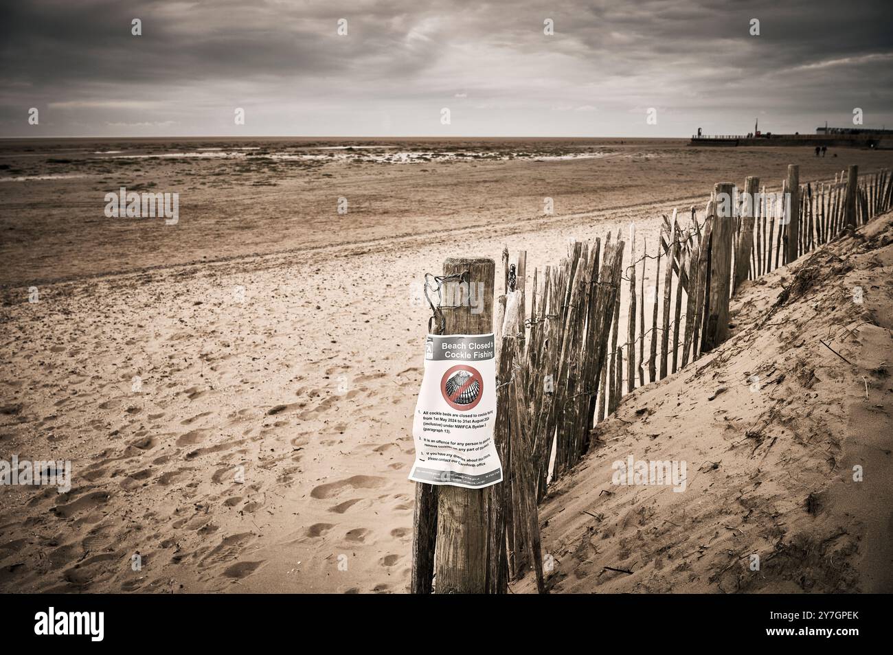 Cockle beds hi-res stock photography and images - Alamy