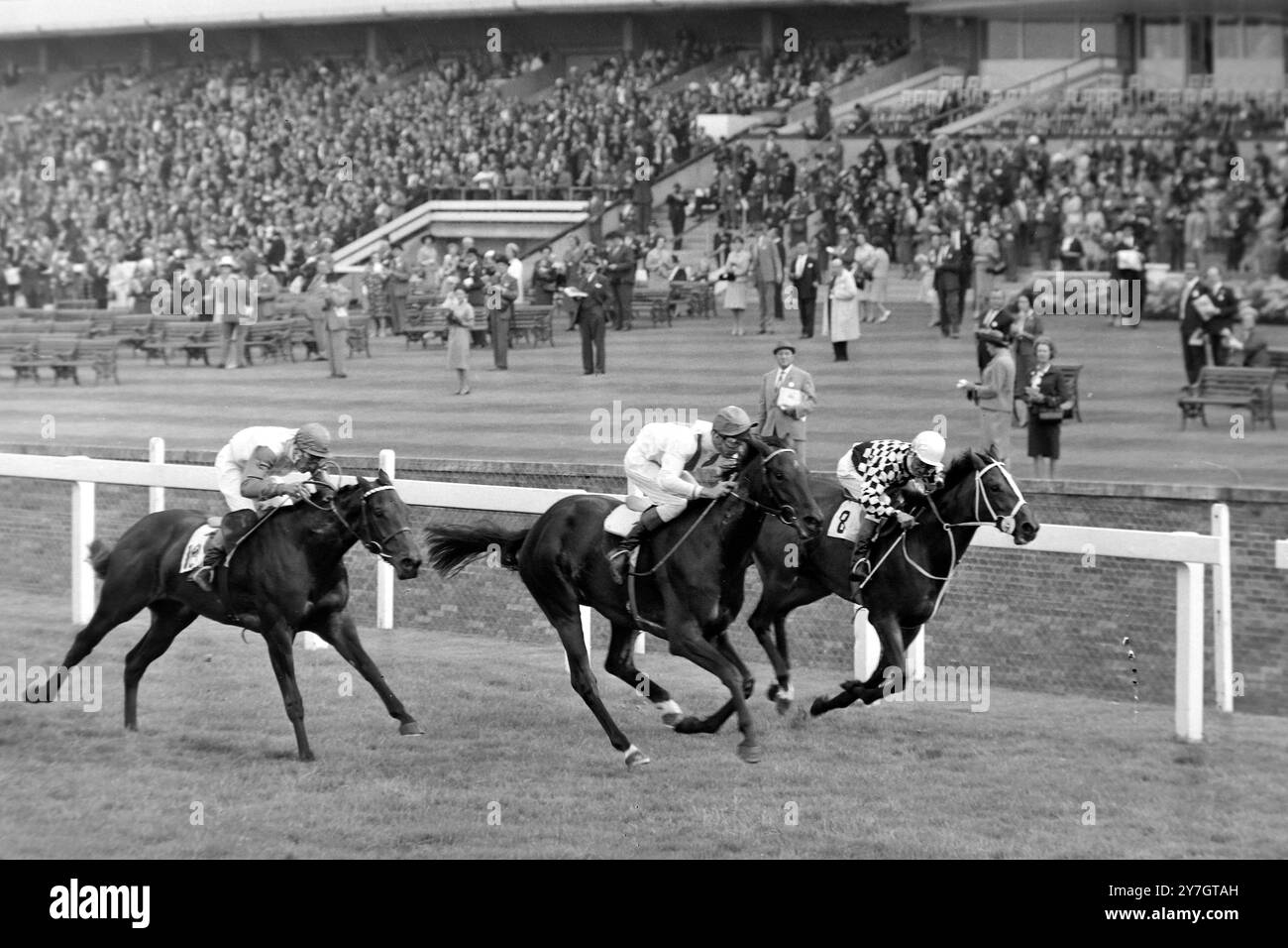 HORSES RACE HELLS ANGELS SEOND CHERTSEY STAKES BOUGOURE G ; 24 ...
