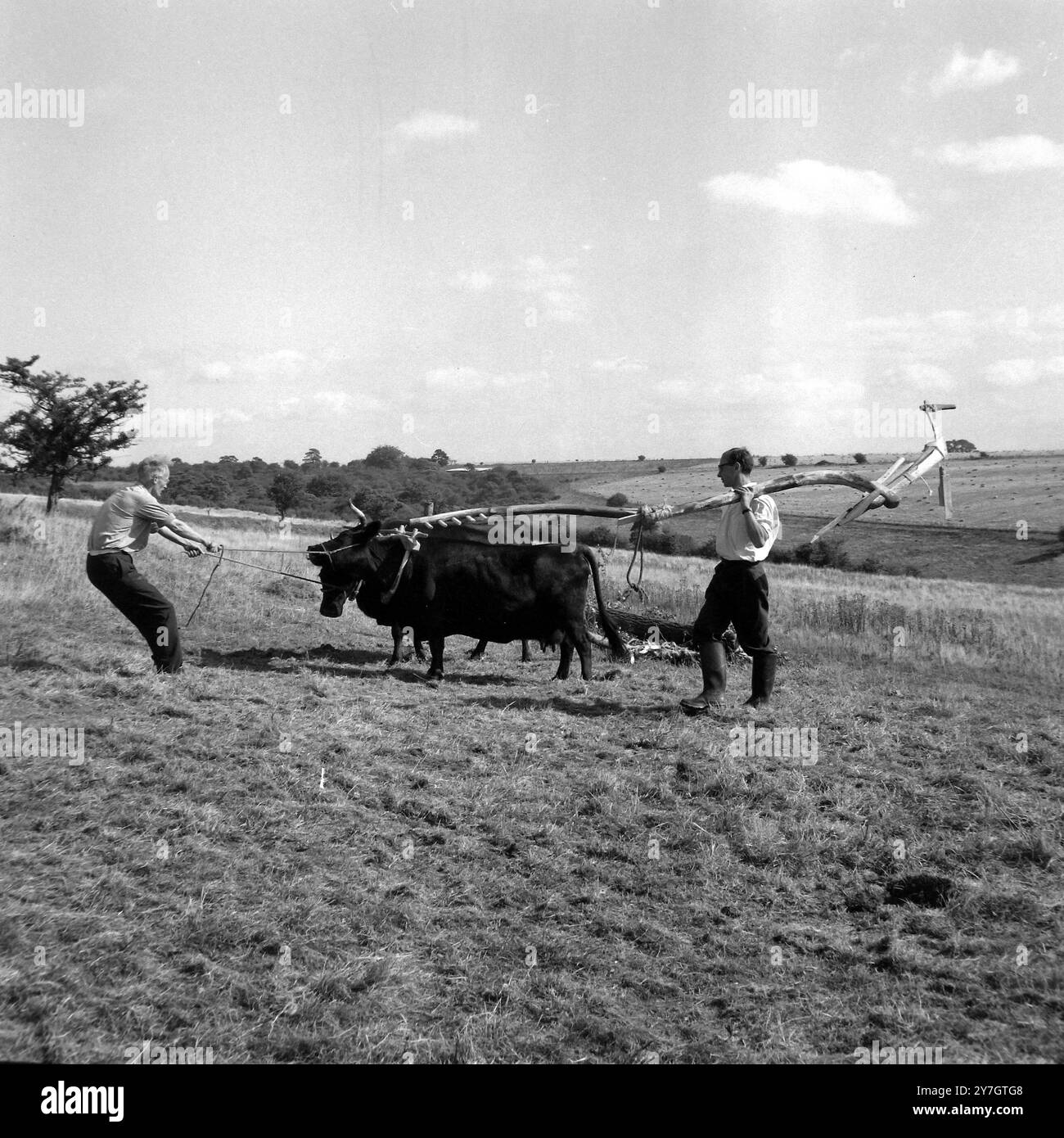 DAWSON F L M IRON AGE SALISBURY ANCIENT FARMING METHODS / ; 22 ...