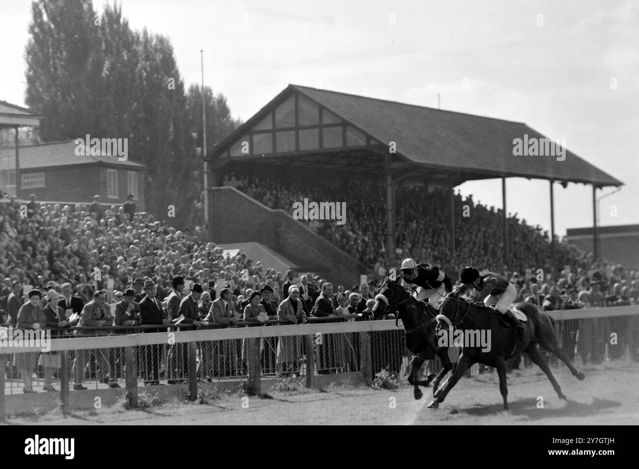 Plate 1960 Black and White Stock Photos & Images - Alamy