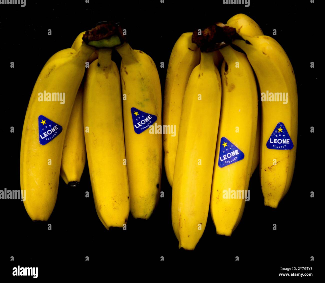Don Leone Ecuador banana Stock Photo - Alamy