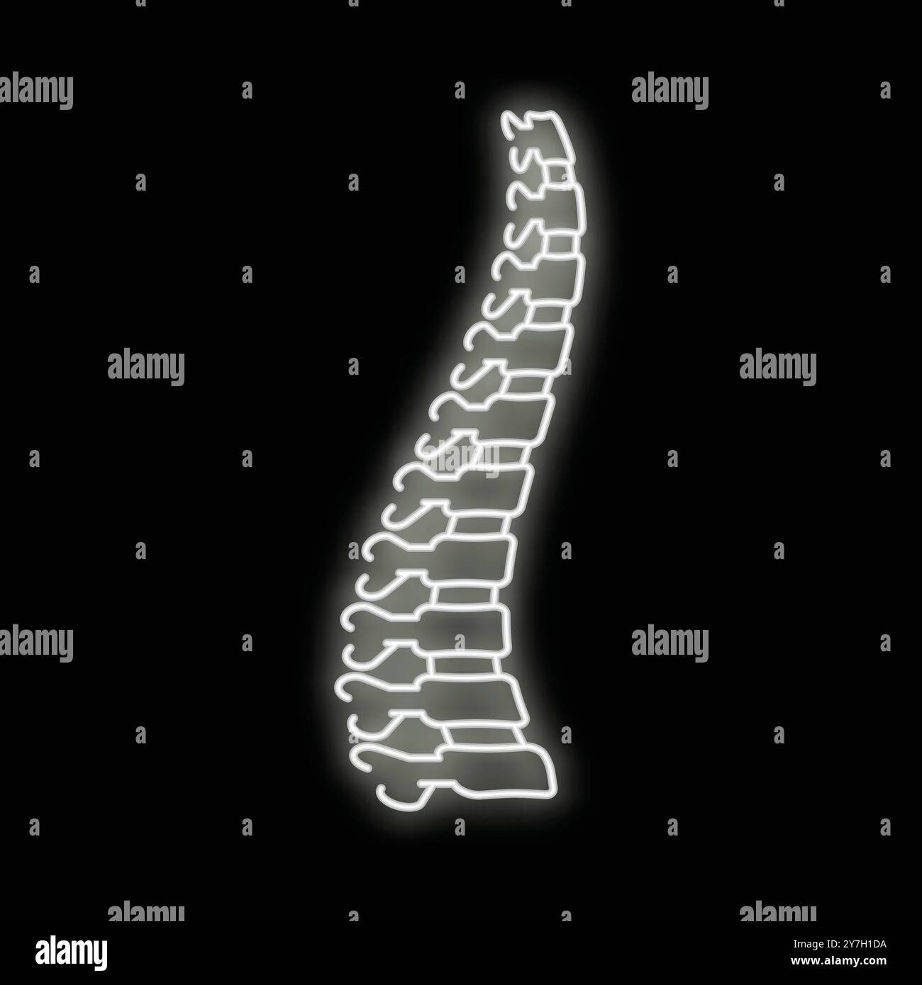 White neon sign depicting a spinal column glowing on black background ...