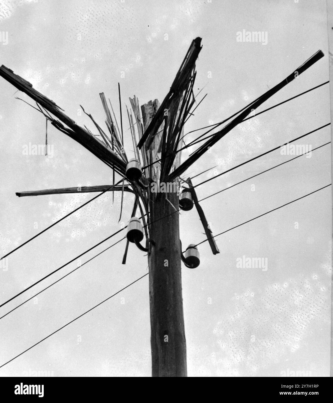 Telegraph pole in black and white hi-res stock photography and images ...