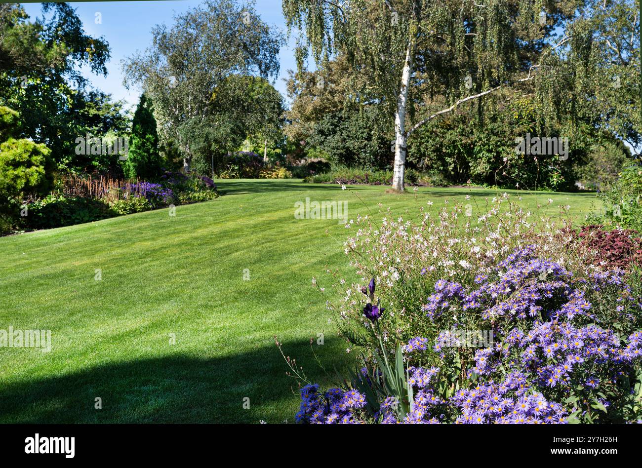 The Island beds, looking up from the lower pond. At RHS Hyde Hall Stock ...