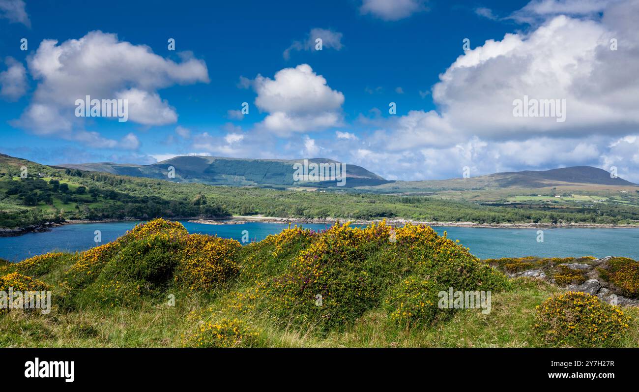 Looking across the western end of Bantry Bay from Bere Island to ...