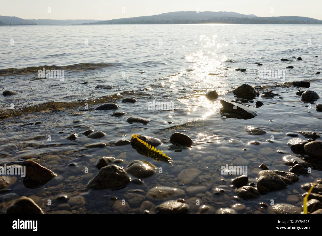 A serene lakeshore with pebbles and rocks, reflecting sunlight, with ...