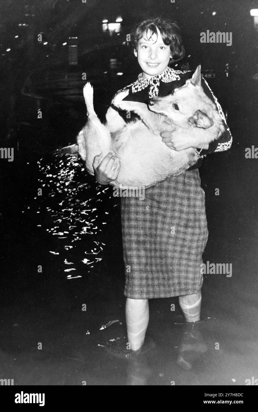 MARGARET HICKS DURING ILFORD FLOODS WITH A DOG / ; 27 JULY 1964 Stock Photo - Alamy