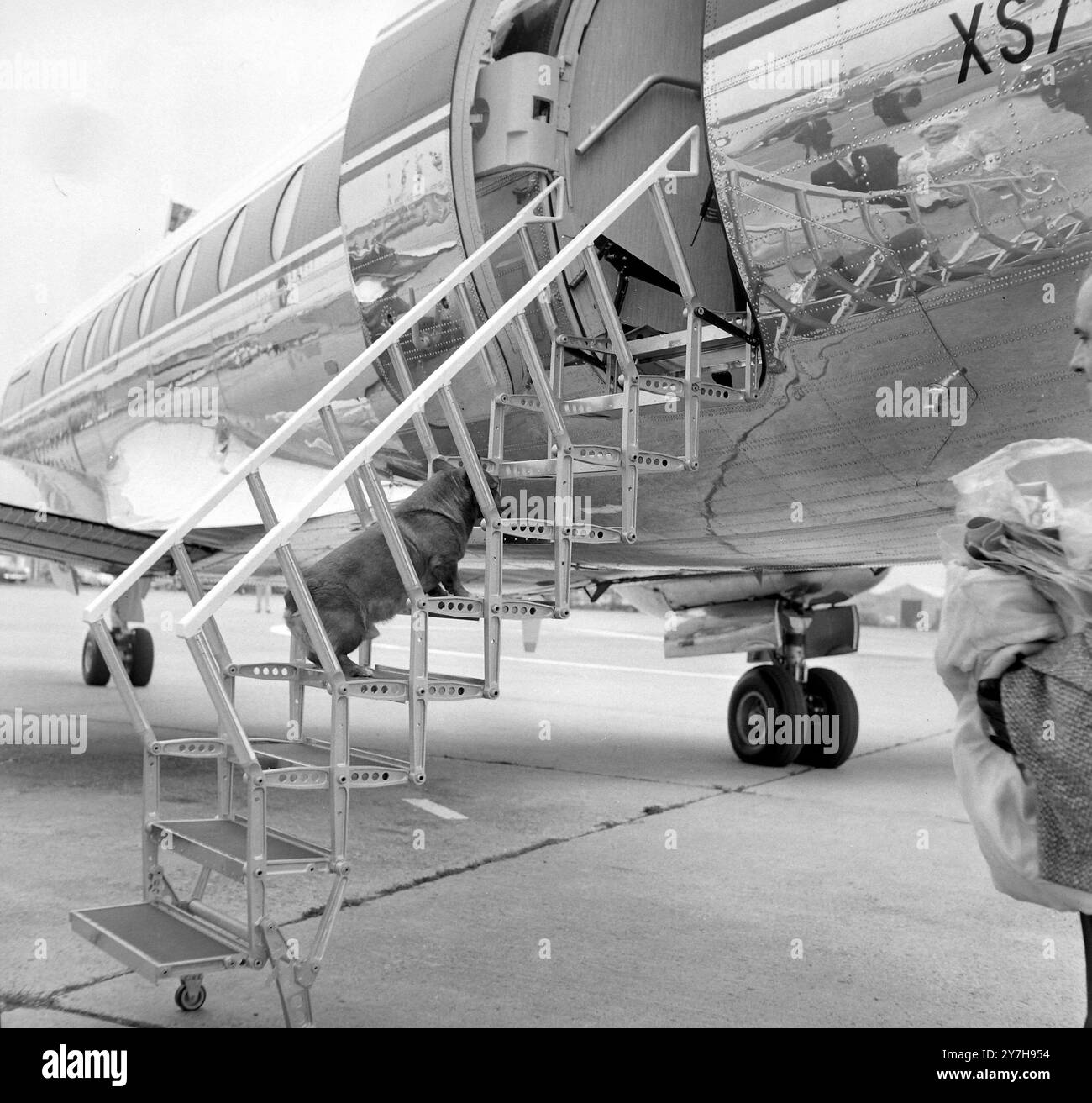 QUEEN ELIZABETH THE QUEEN MOTHER DOG PET CORGI BOARDS THE PLANE IN ...