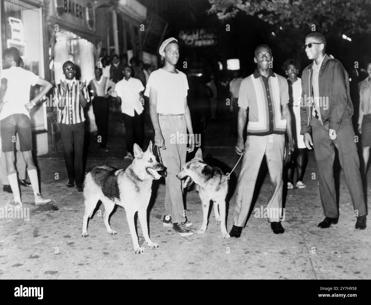 21 JULY 1964 Young men with police attack dogs during the ongoing race ...