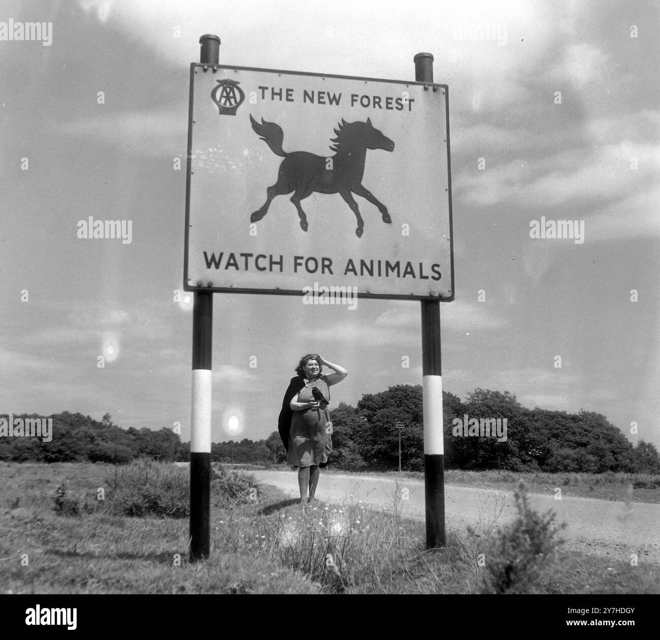 SYBIL LEEK WITCH FIDDLE IN WOOTTON / ; 30 JUNE 1964 Stock Photo - Alamy