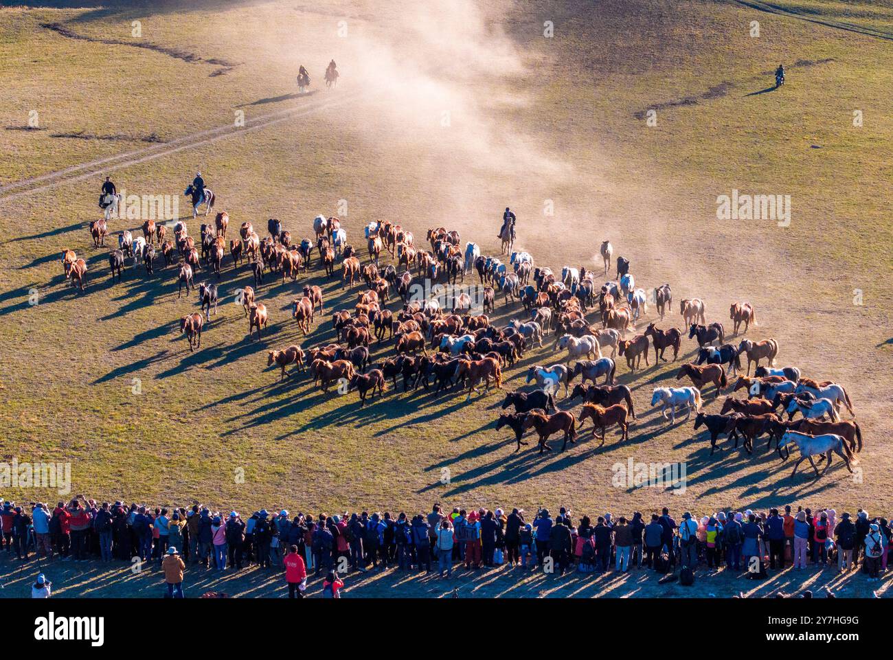 Ten thousand steeds gallop hi-res stock photography and images - Alamy