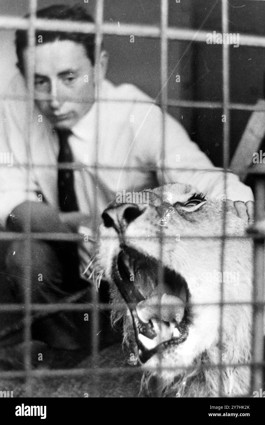 Chipperfield circus hi-res stock photography and images - Alamy