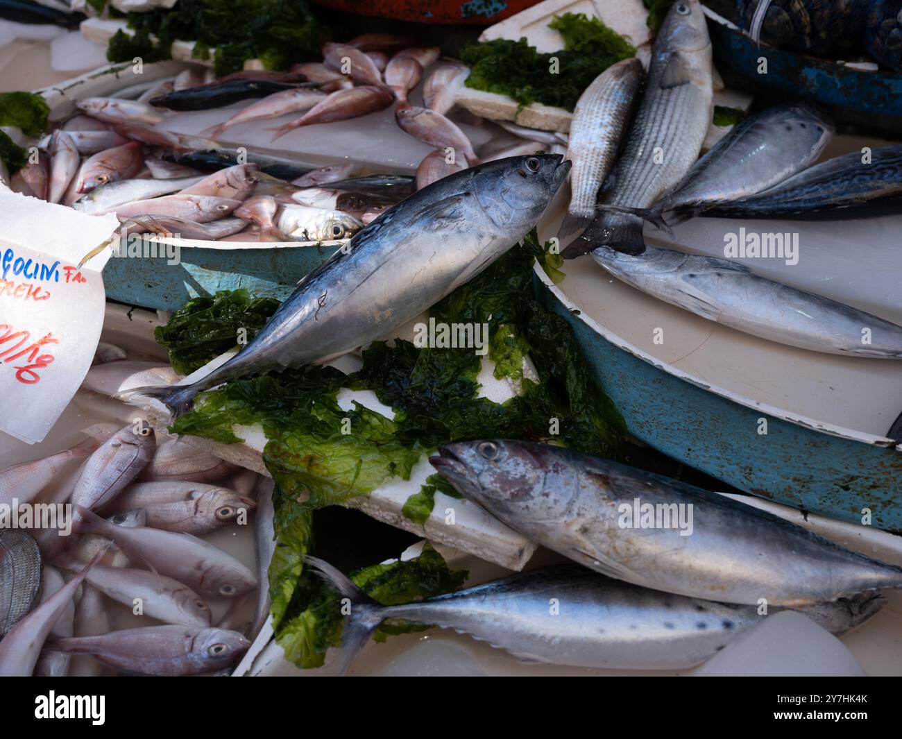 Mediterranean Fish in open seamarket, Napoli Stock Photo - Alamy