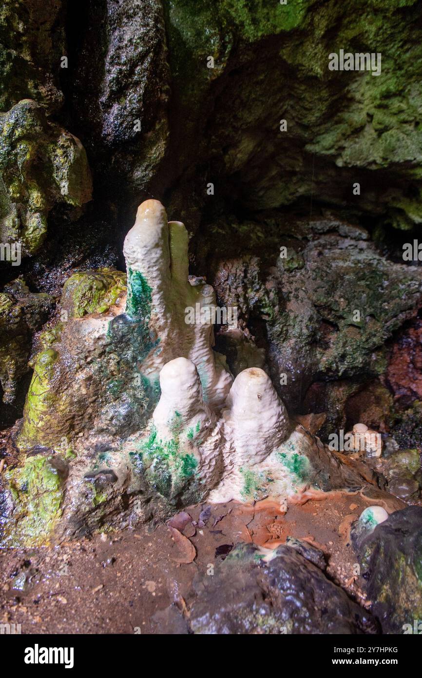 Amabere hi-res stock photography and images - Alamy