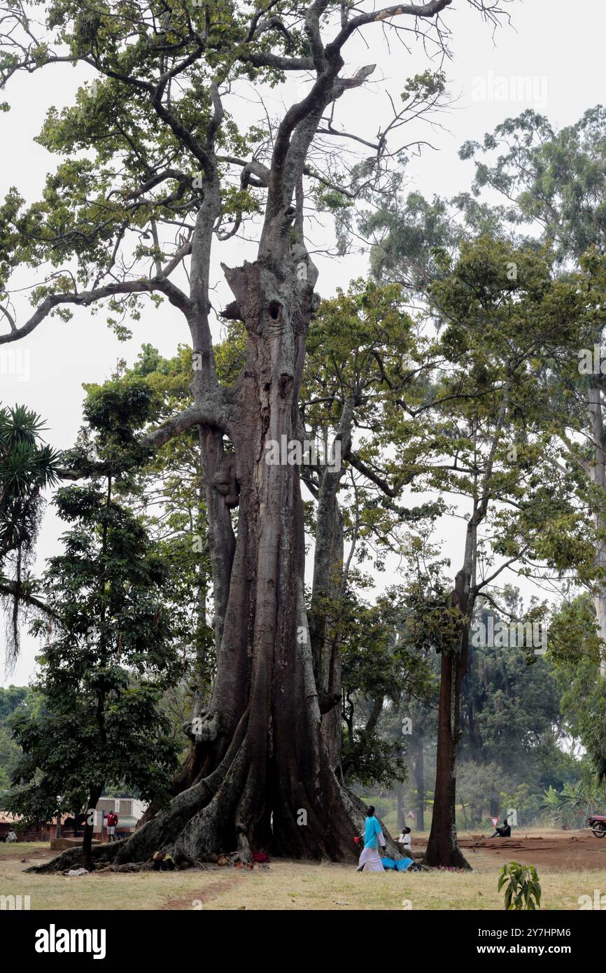 Uganda shrines hi-res stock photography and images - Alamy