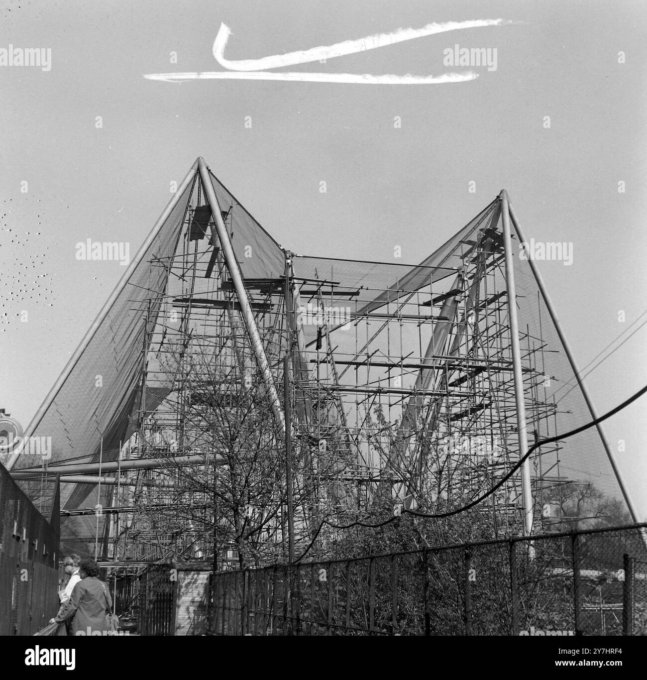 Aviary at regents park zoo hi-res stock photography and images - Alamy