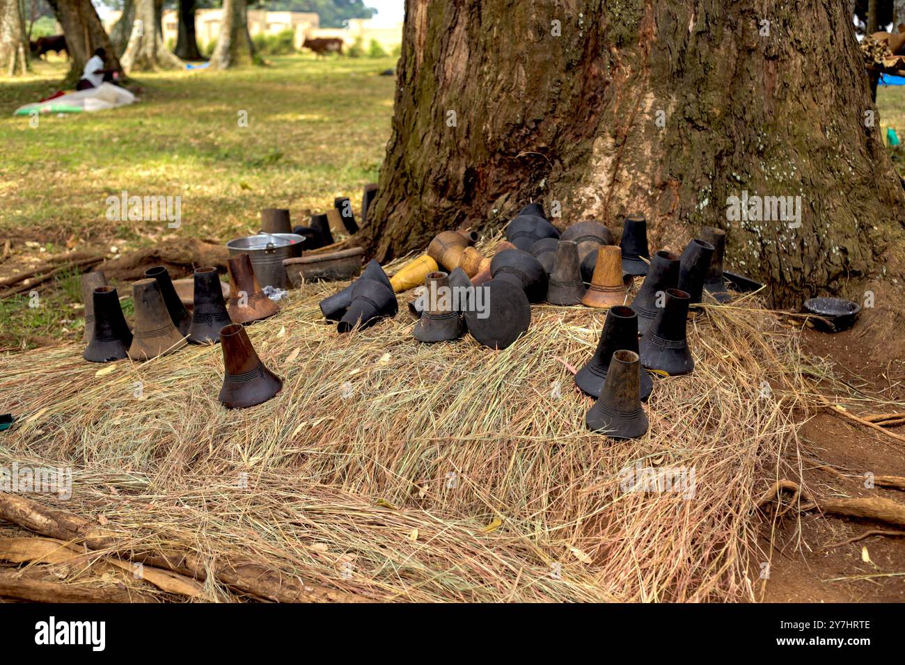 Cultural Items ( Ebyanzi) at Nakayima Tree in Mubende Stock Photo - Alamy