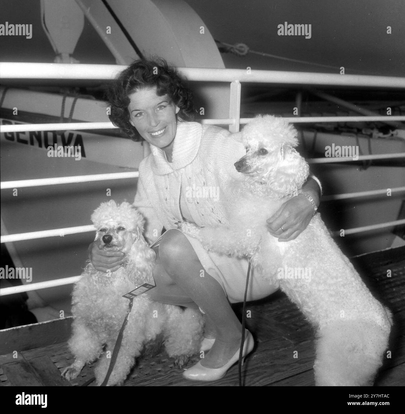 Renee allen hi-res stock photography and images - Alamy
