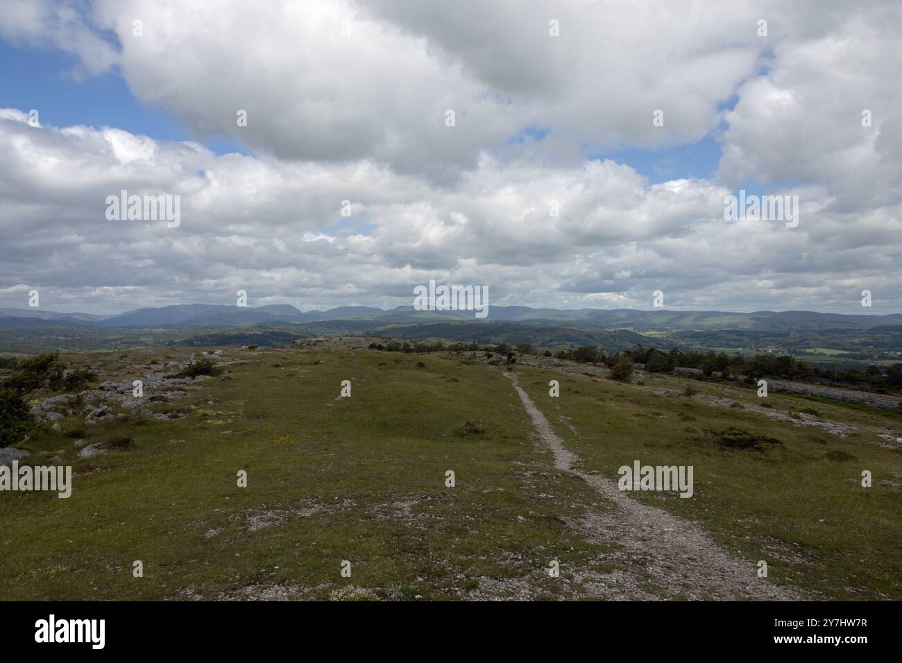 Whitebarrow national nature reserve hi-res stock photography and images ...