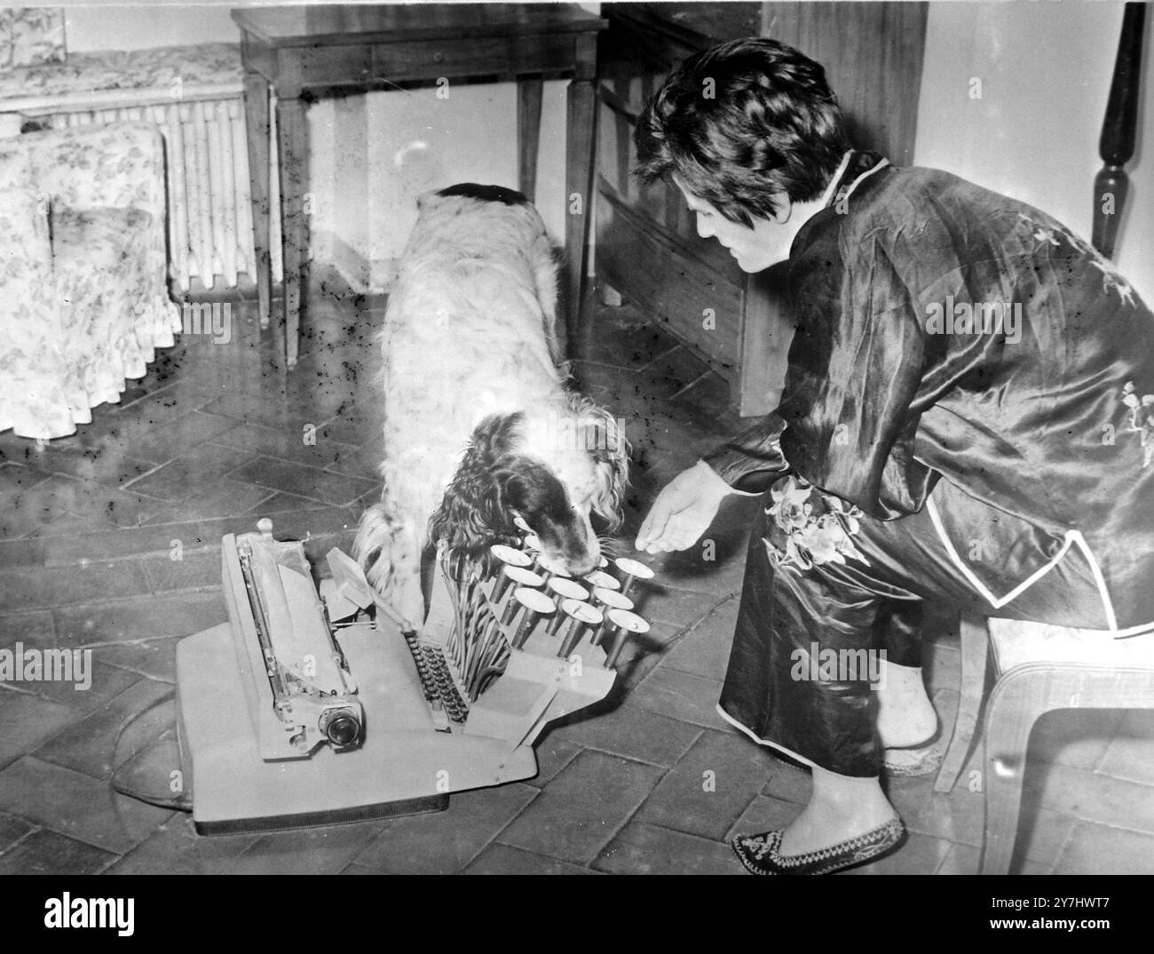 ELIZABETH MANN WITH A DOG TYPING IN ROME / ; 13 APRIL 1964 Stock Photo ...
