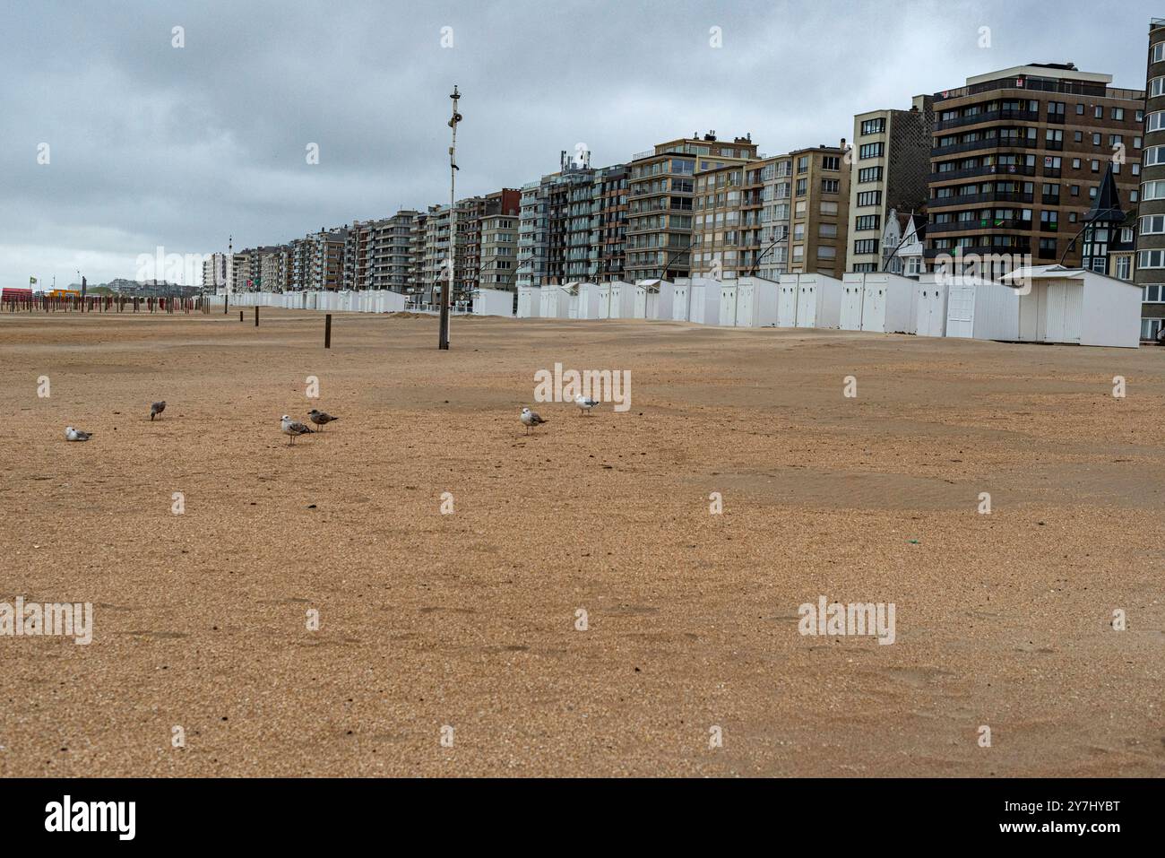 Travel to Coastal Beach Travel to Coastal Beach Life at De Panne ...