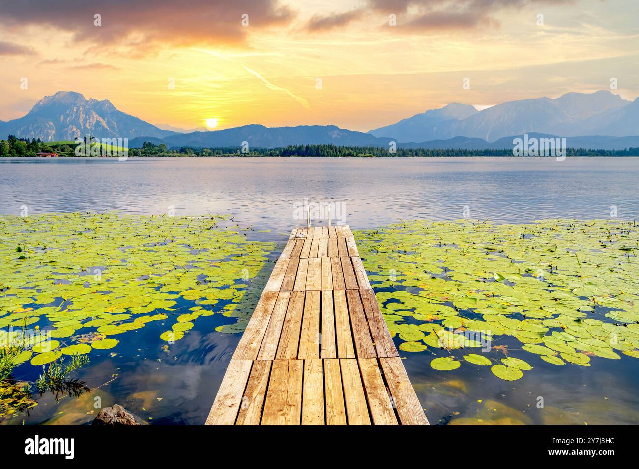 Lake hopfen hopfensee hi-res stock photography and images - Alamy