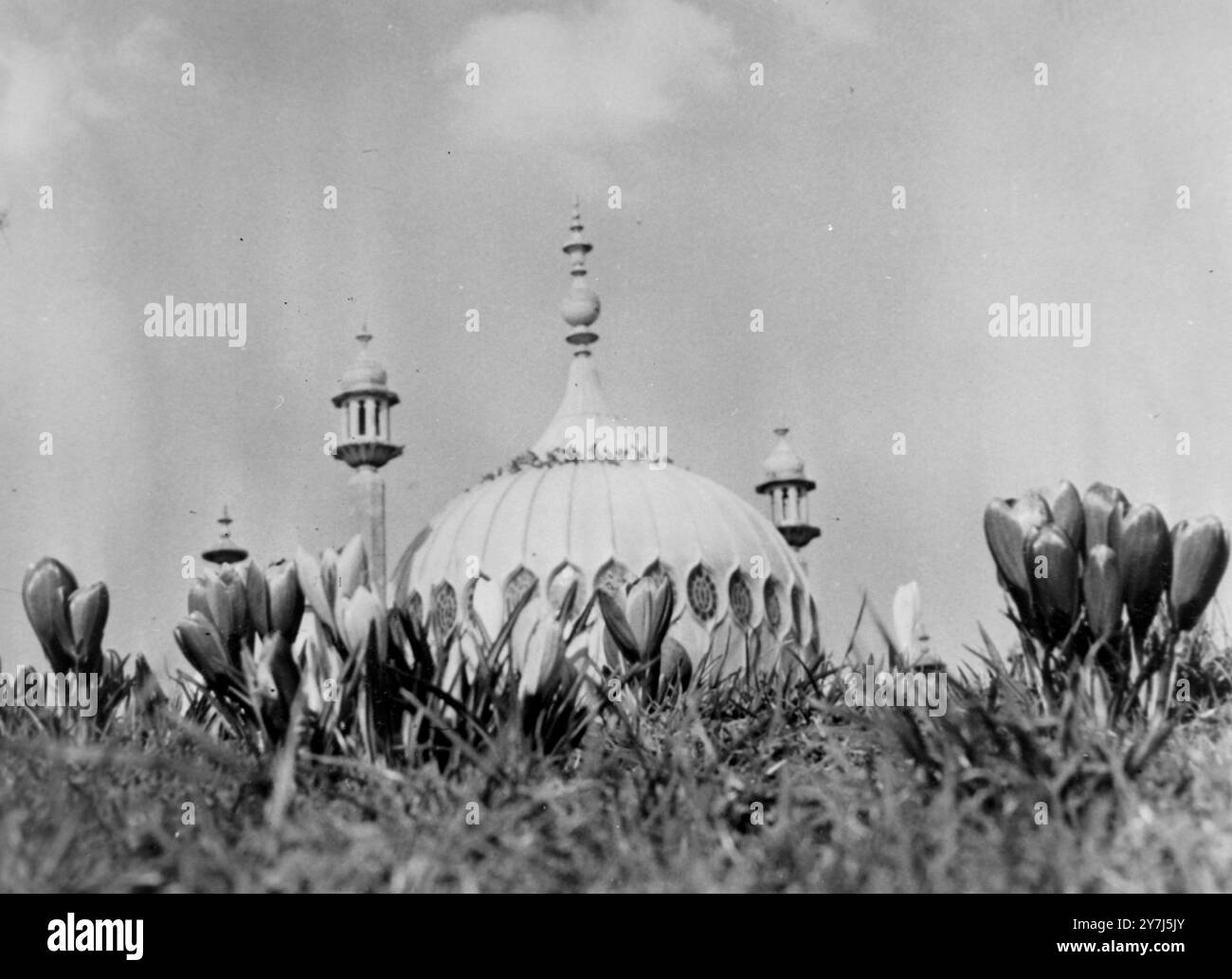 THE ROYAL PAVILION IN BRIGHTON - SPRING SCENE AND CROCUSES ; 4 MARCH ...