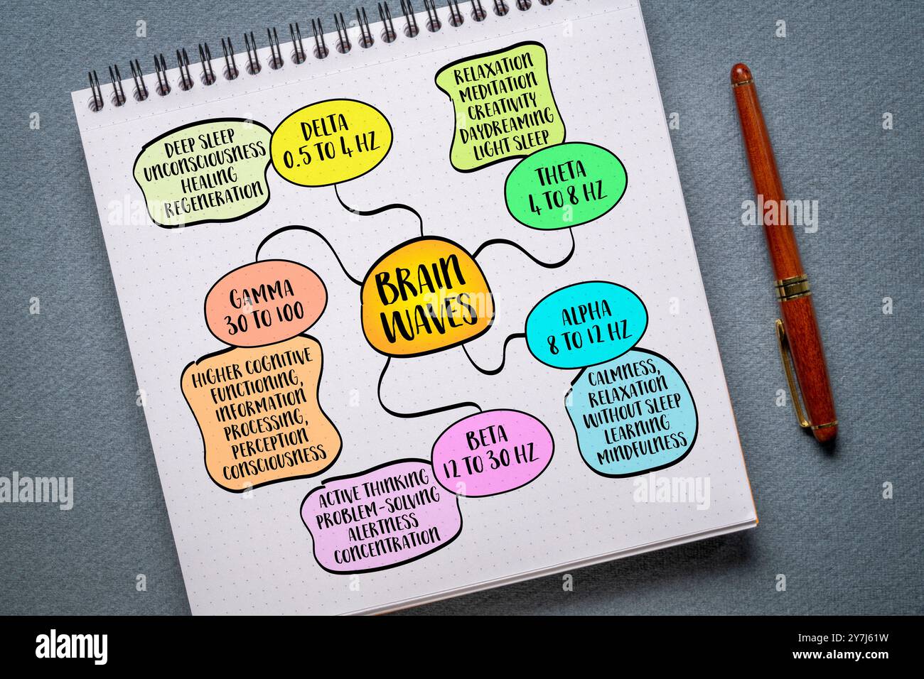 Brain waves are electrical impulses in the brain that reflect various ...