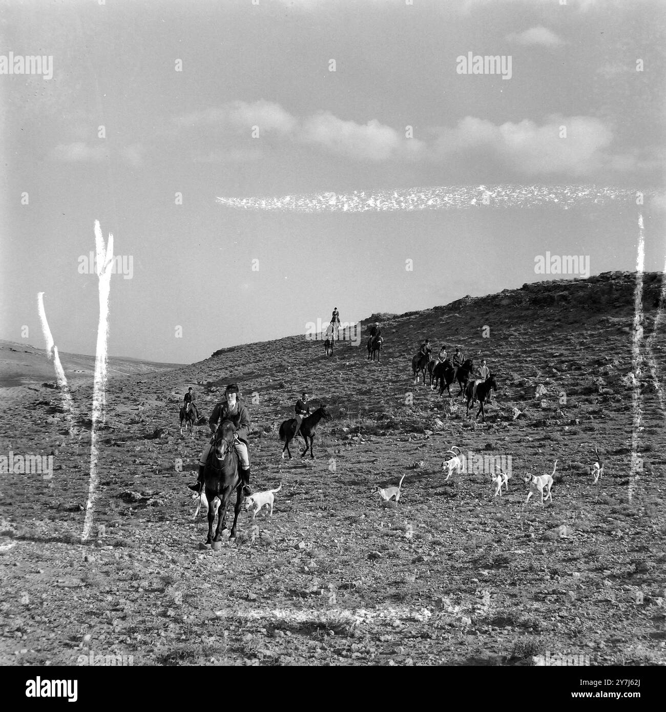 A HUNTING SCENE IN LARNACA, CYPRUS / ; 2 MARCH 1964 Stock Photo - Alamy