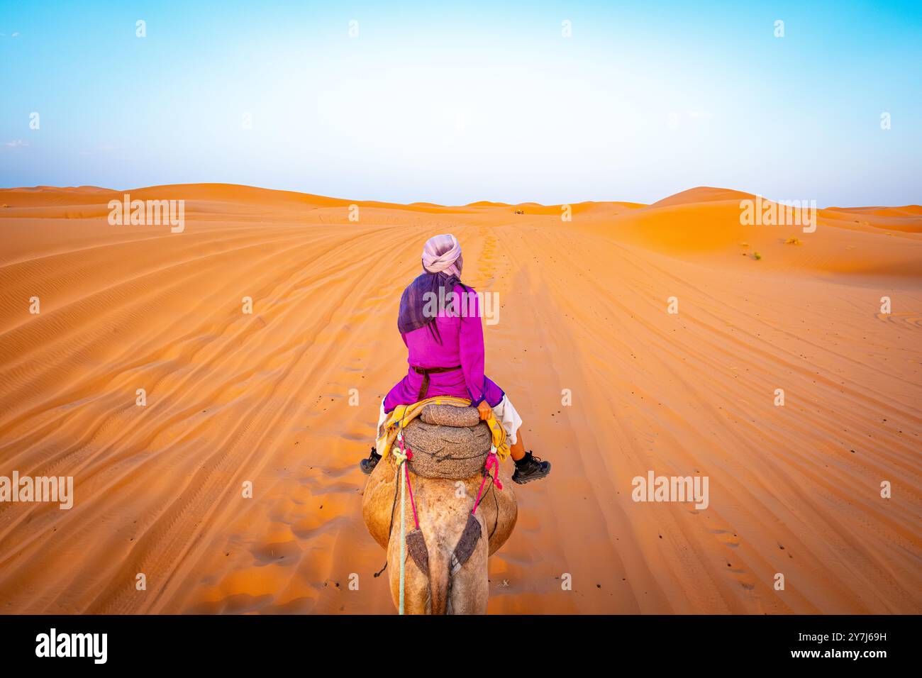 Camel ride in the Sahara desert tour in Merzouga Erg Chebbi dunes Stock ...
