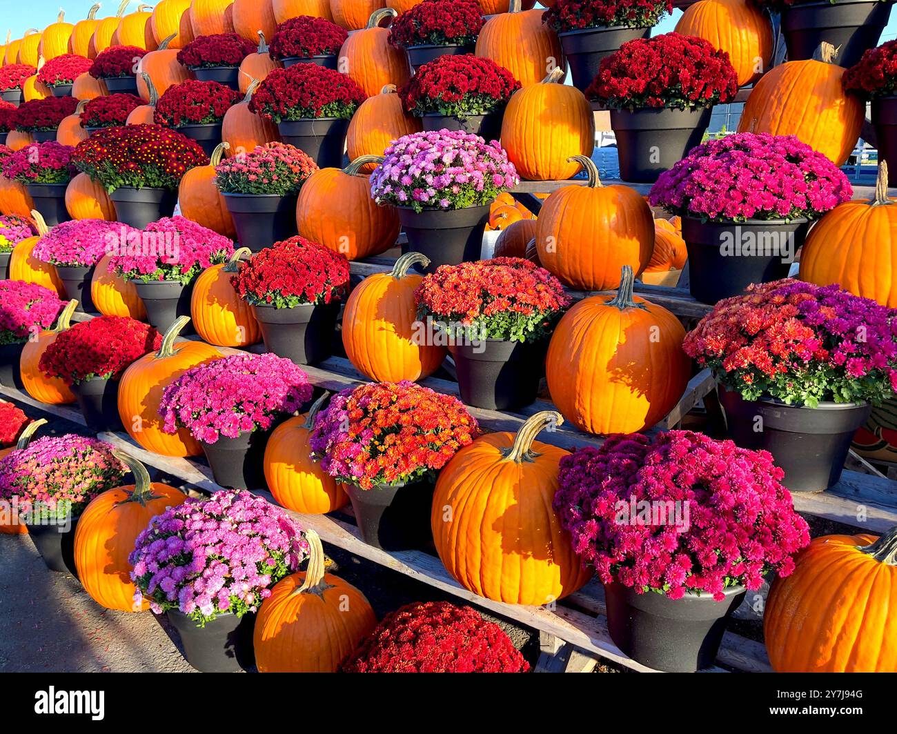 Fall harvest display local hi-res stock photography and images - Alamy