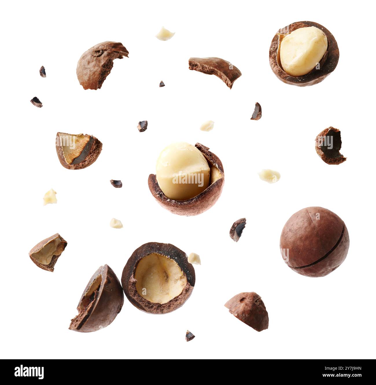 Macadamia nuts and crushed shells in air on white background Stock ...