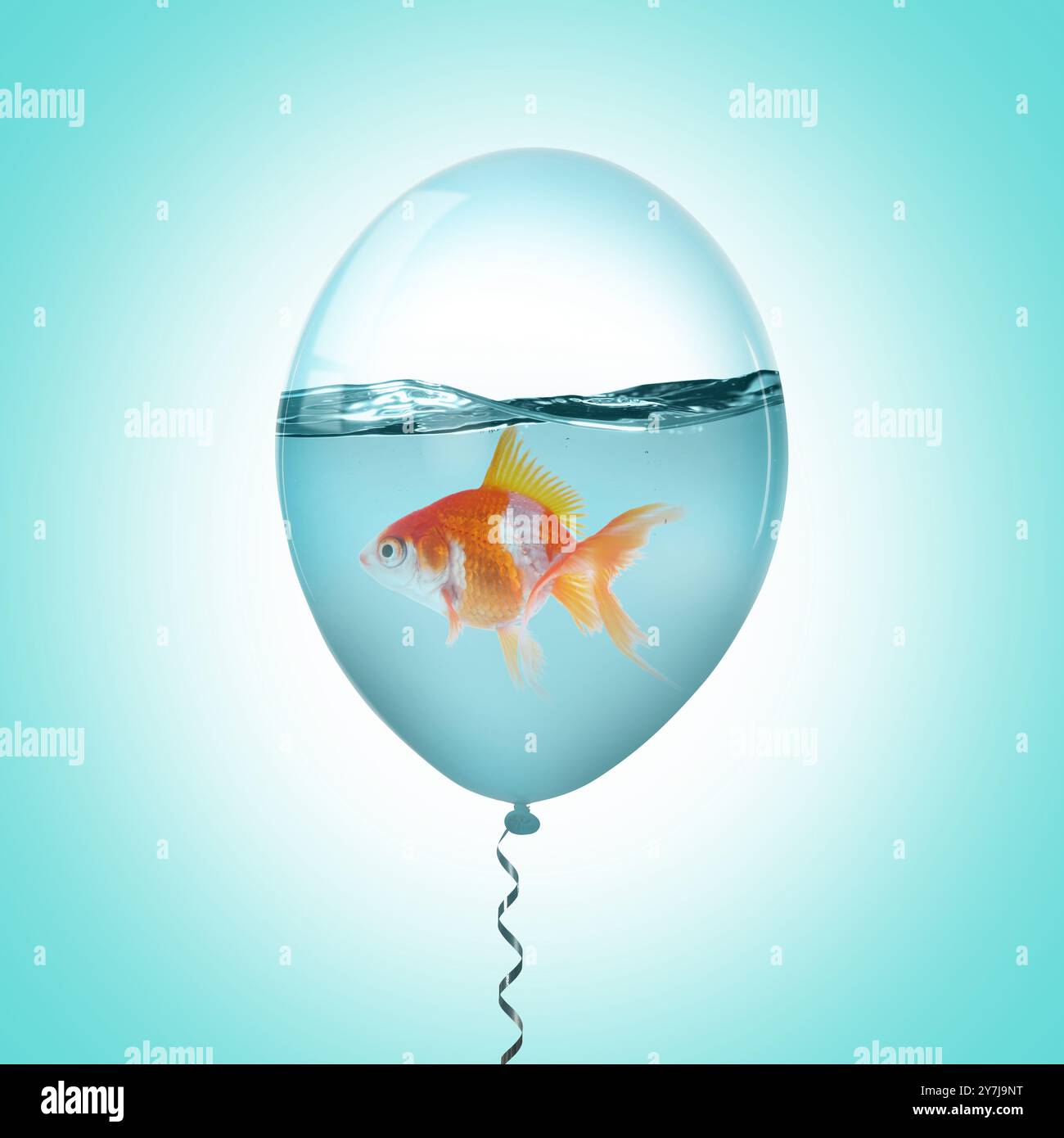 Balloon with water and goldfish against light blue background Stock ...