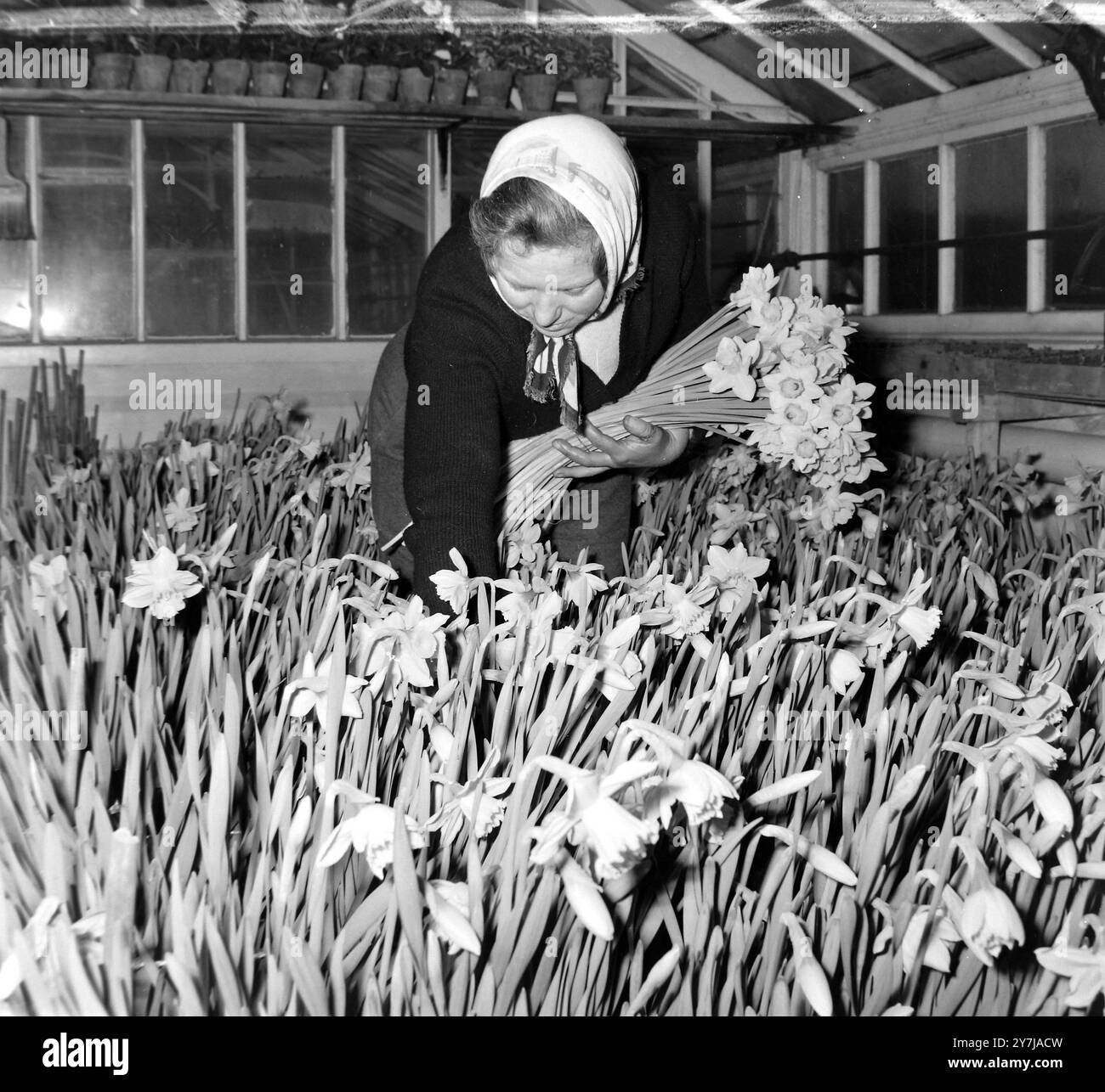 Lillian harris hi-res stock photography and images - Alamy