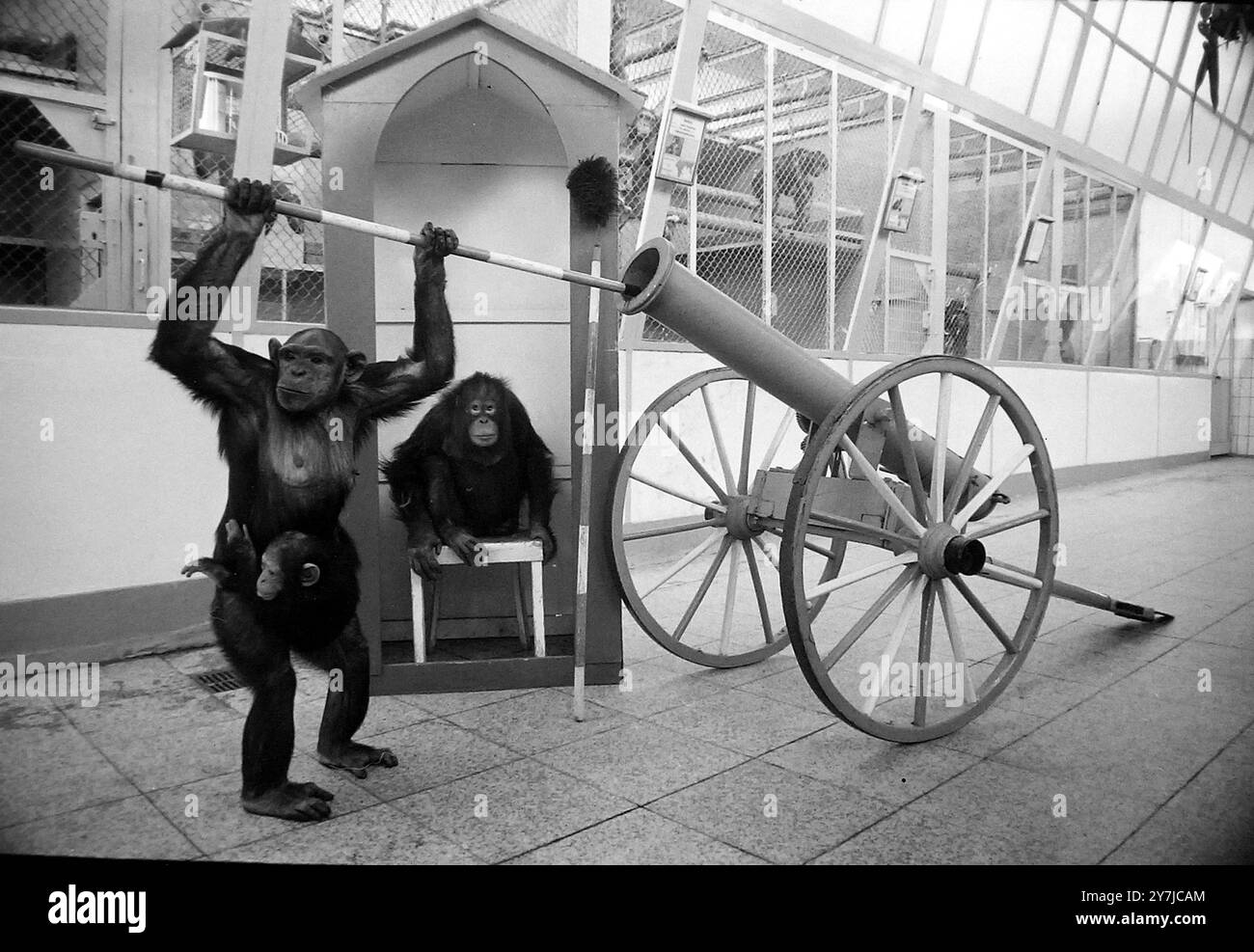 Zoo cleaning Black and White Stock Photos & Images - Alamy
