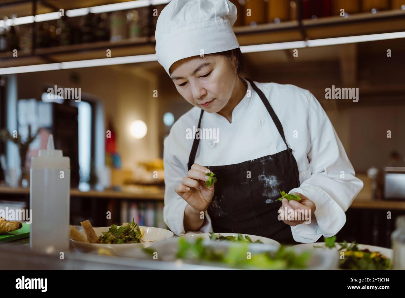 Focused female chef garnishing salad with cilantro while working in ...