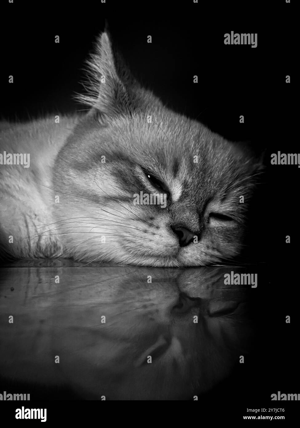 Hd wallpaper of 2024 hi-res stock photography and images - Alamy