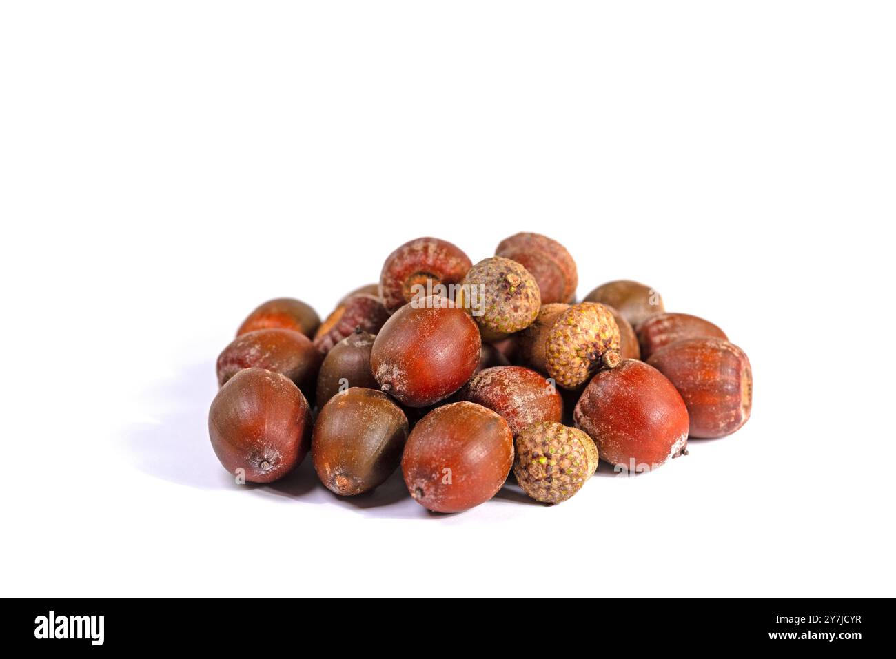 Fruits oak Cut Out Stock Images & Pictures - Alamy