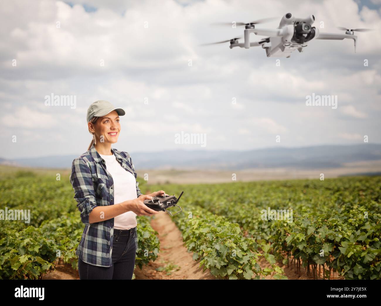 Young female farmer flying a drone on a vineyard field Stock Photo - Alamy