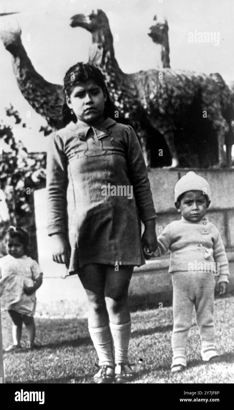 Lina 1960 hi-res stock photography and images - Alamy