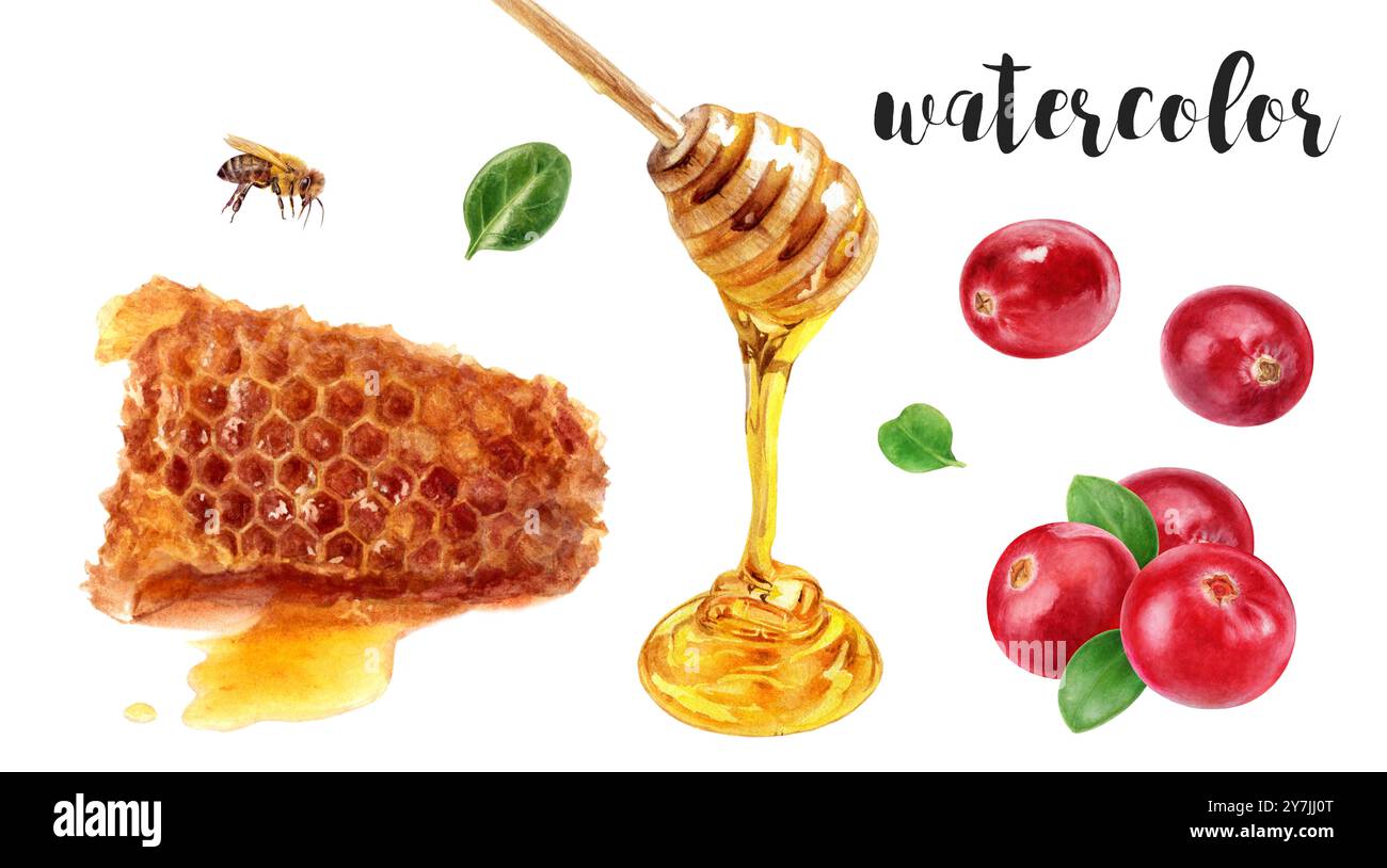 Hand-Painted Watercolor Honey Dipper with Dripping Honey, Honeycomb ...