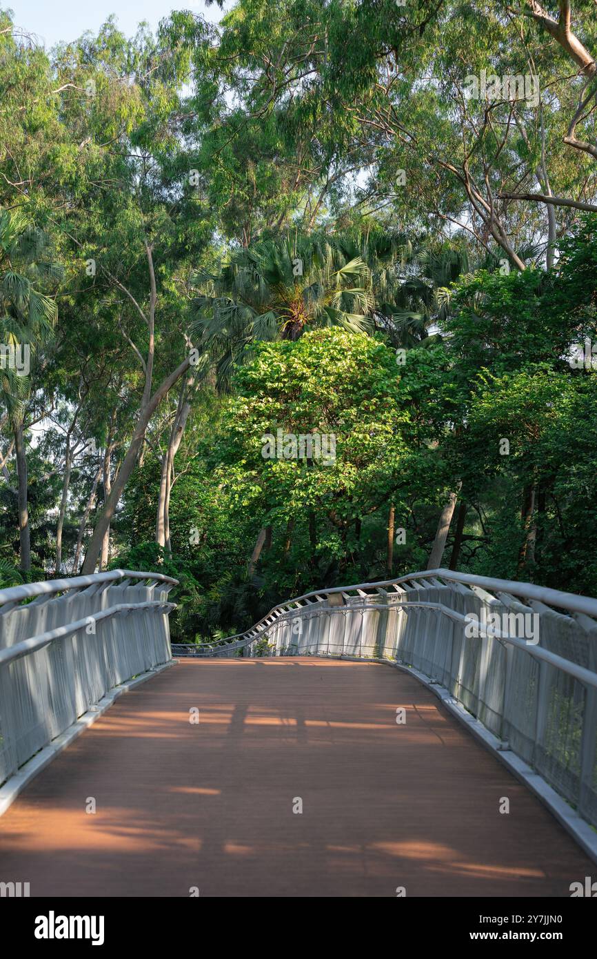 Pathway in park in Guangzhou China Stock Photo - Alamy