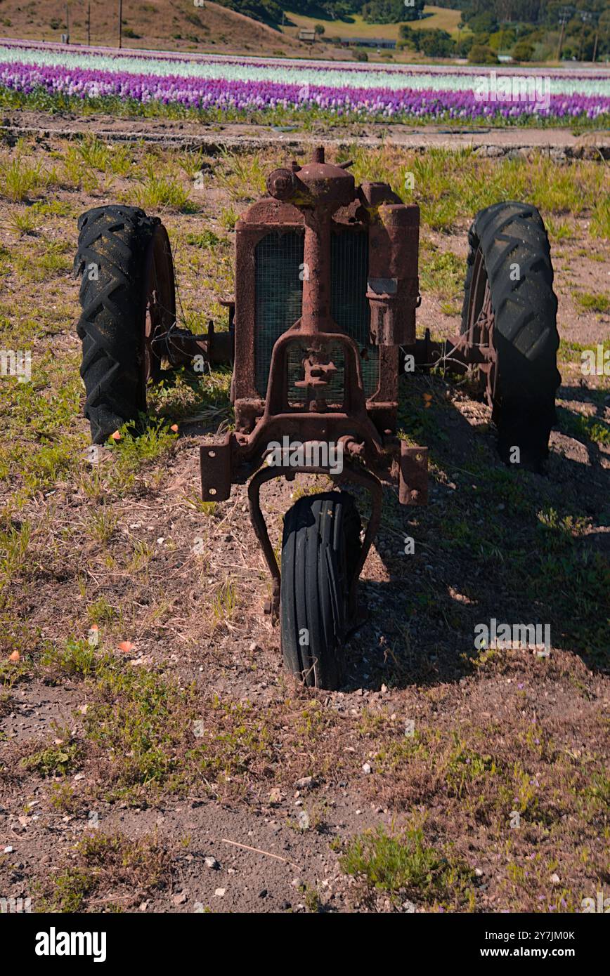 Old rusty tracer rests in field with flower field in the background. Speaks volunes of early ...