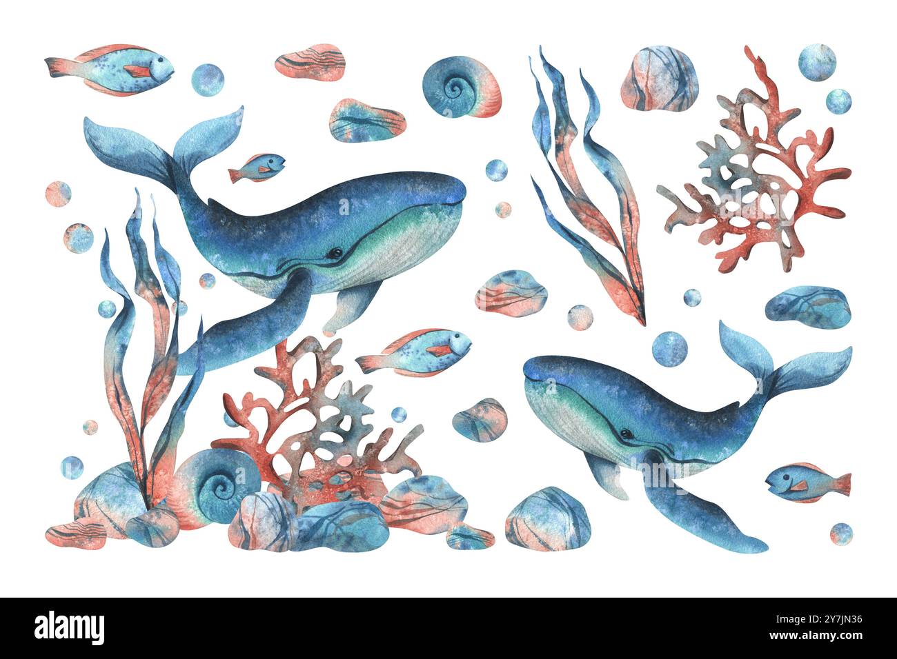 Underwater world clipart with sea animals whale, fishes, shells, coral ...