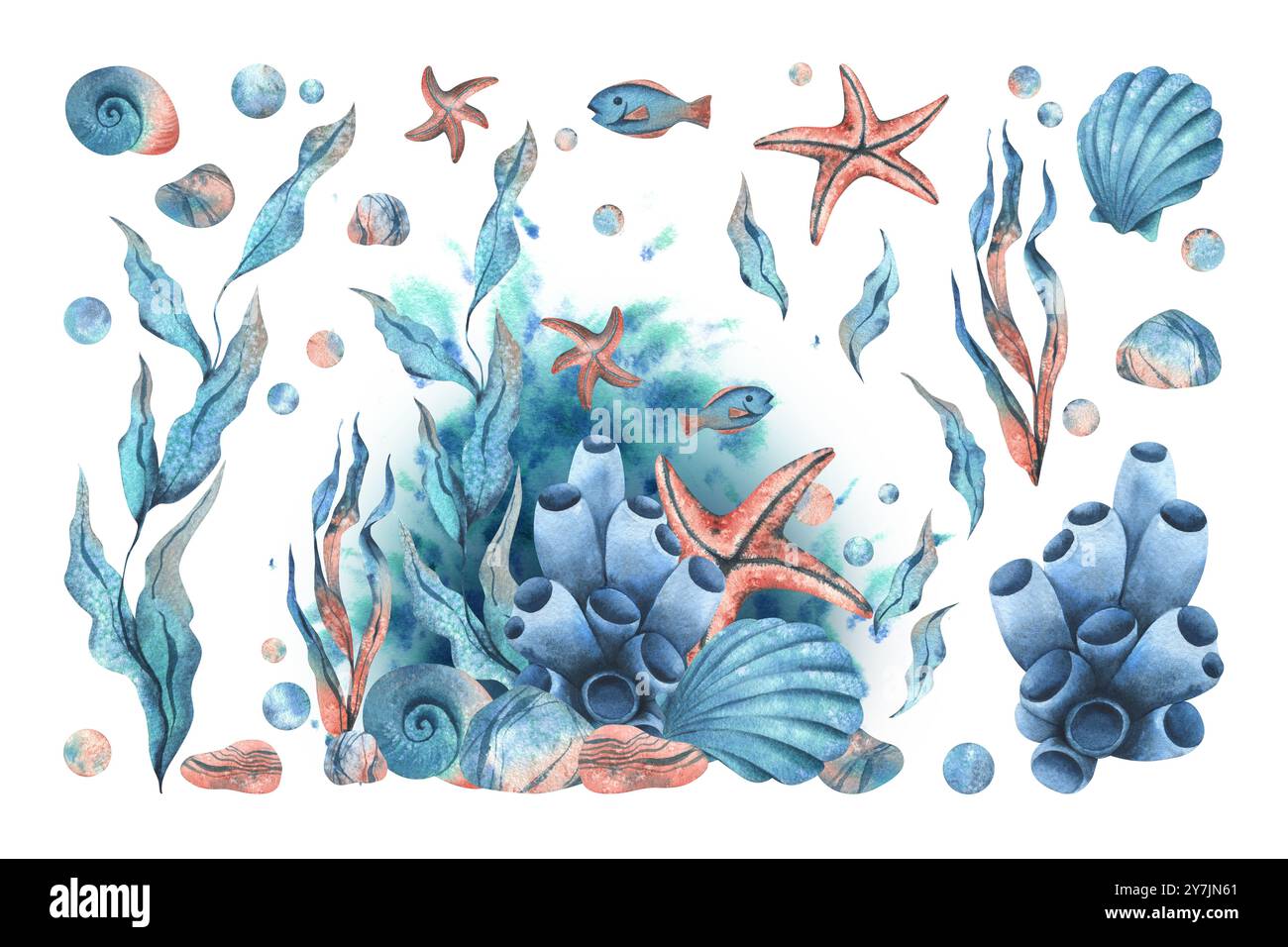 Underwater world clipart with sea animals starfishes, shells, coral and ...