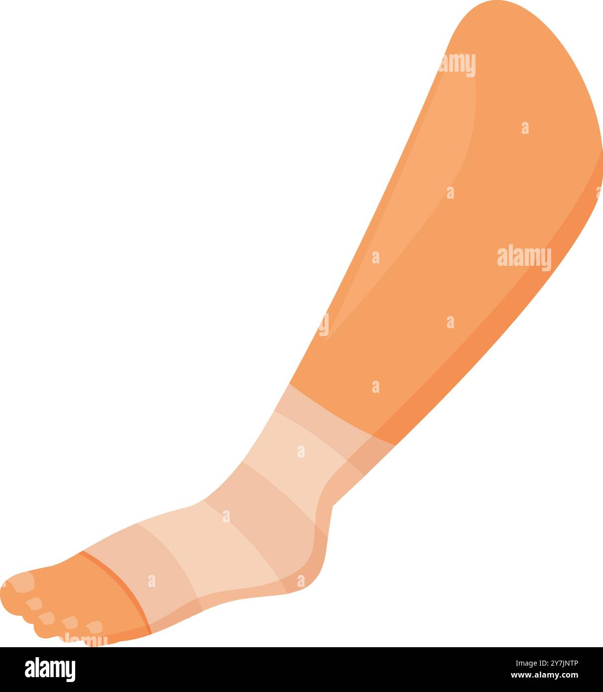 Human leg with ankle wrapped in bandage illustrating first aid ...