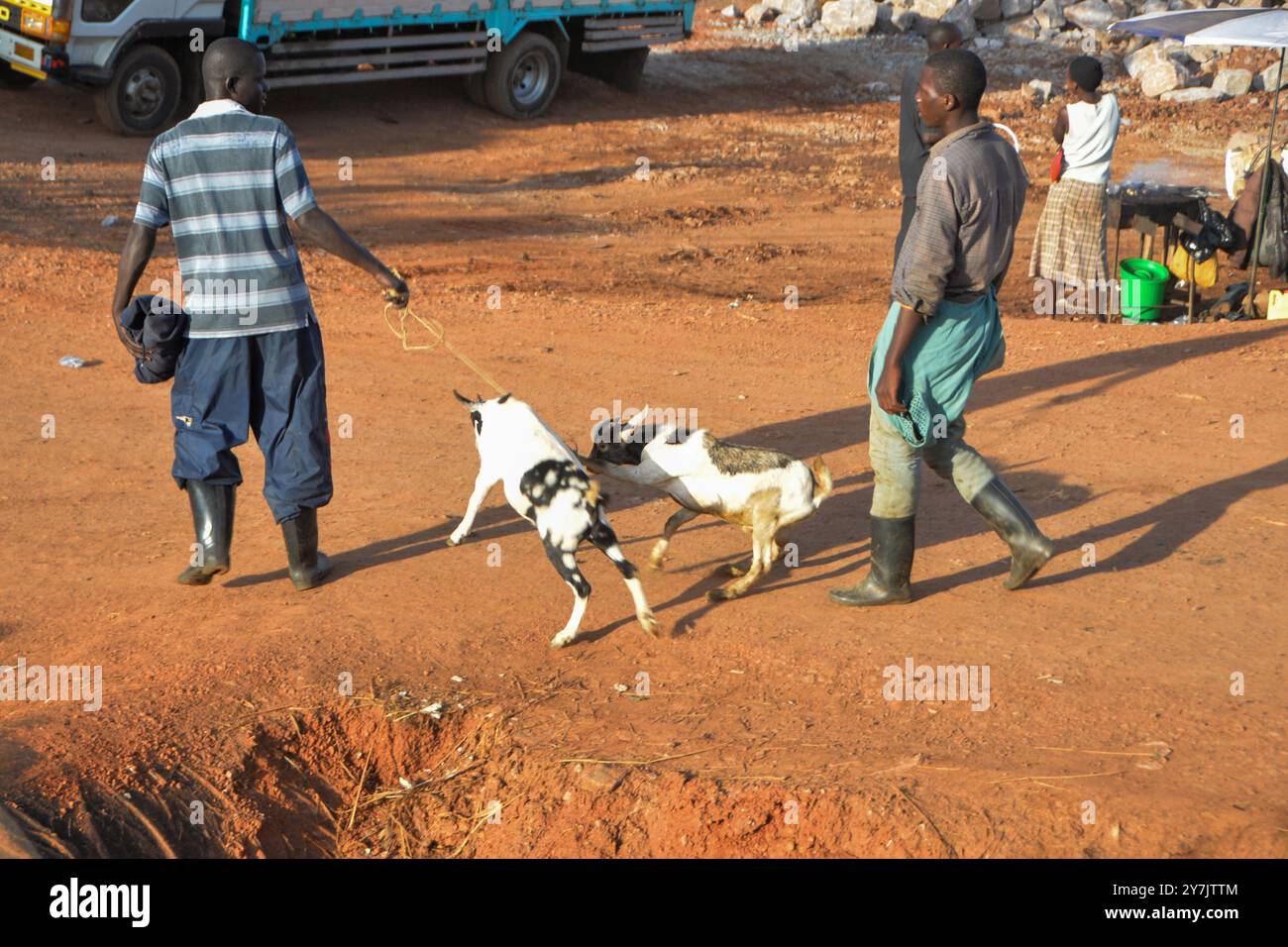Man pulling the market hi-res stock photography and images - Alamy