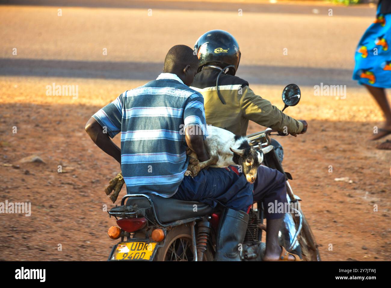 A man carries a goat as he takes a ride on a motocycle in Kalerwe ...