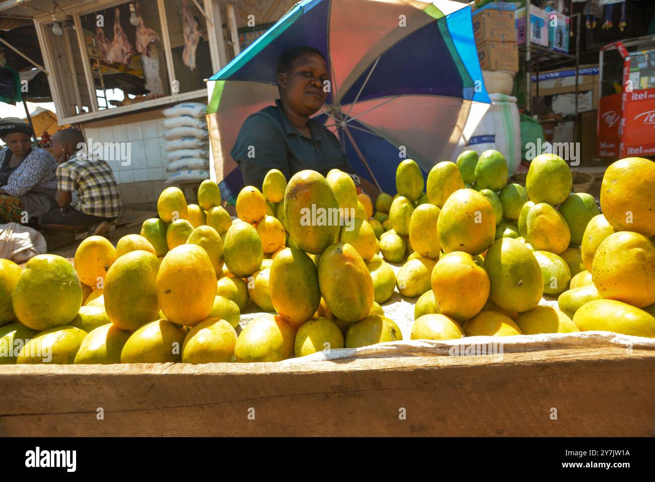 A woman selling mangoes in Kalerwe Market - Kampala Uganda Stock Photo ...