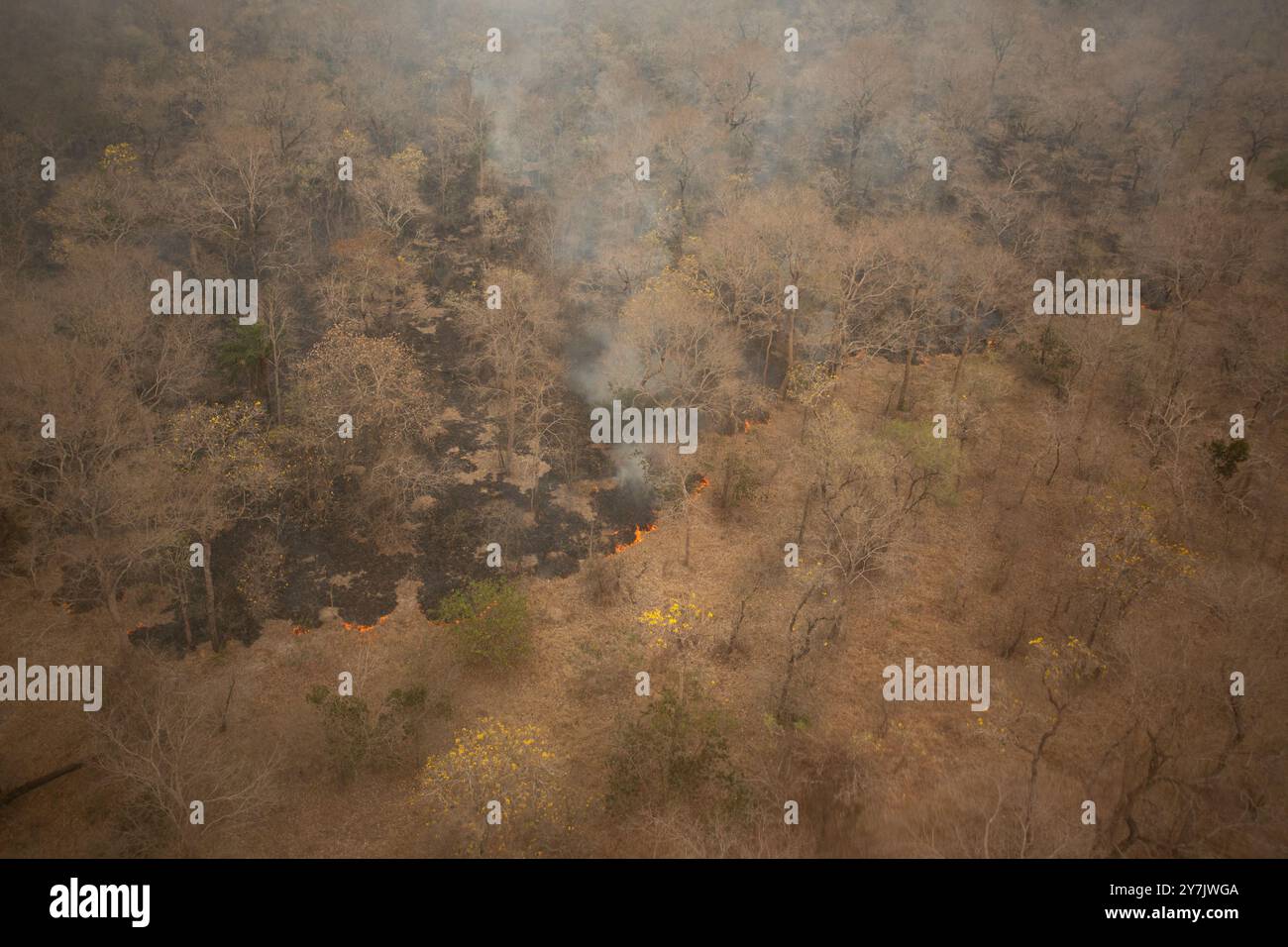 Kadiweu, Brazil. 13th Sep, 2024. Smoke rises from the forest during ...